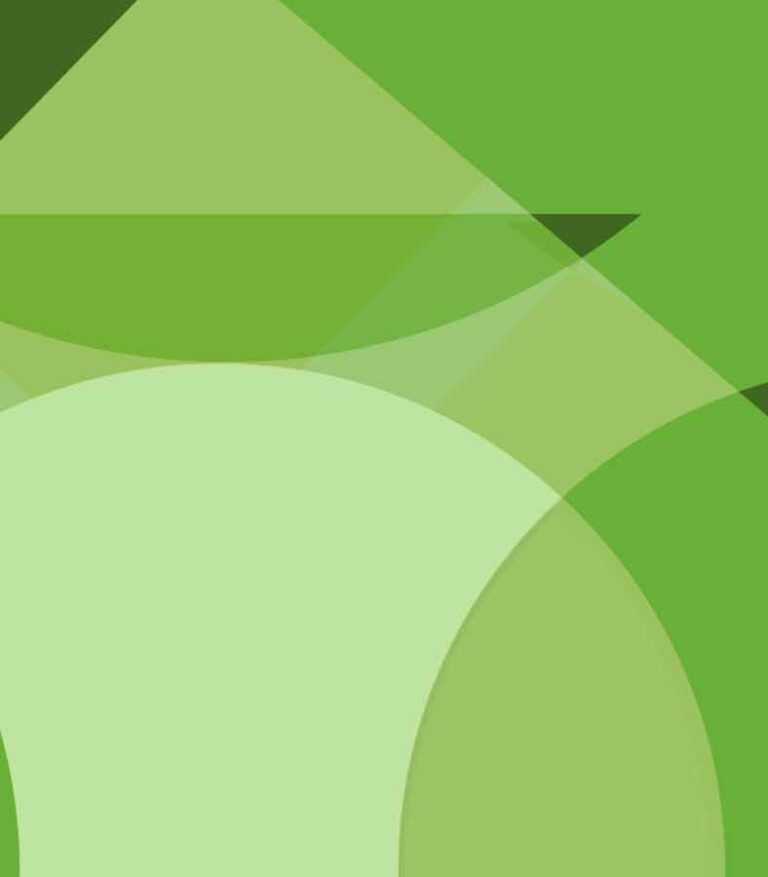 Visioning a successful future: How to use visioning techniques in ...